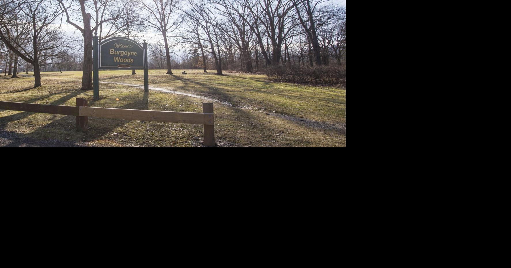 Ground-breaking NIagara project puts our forests on the map