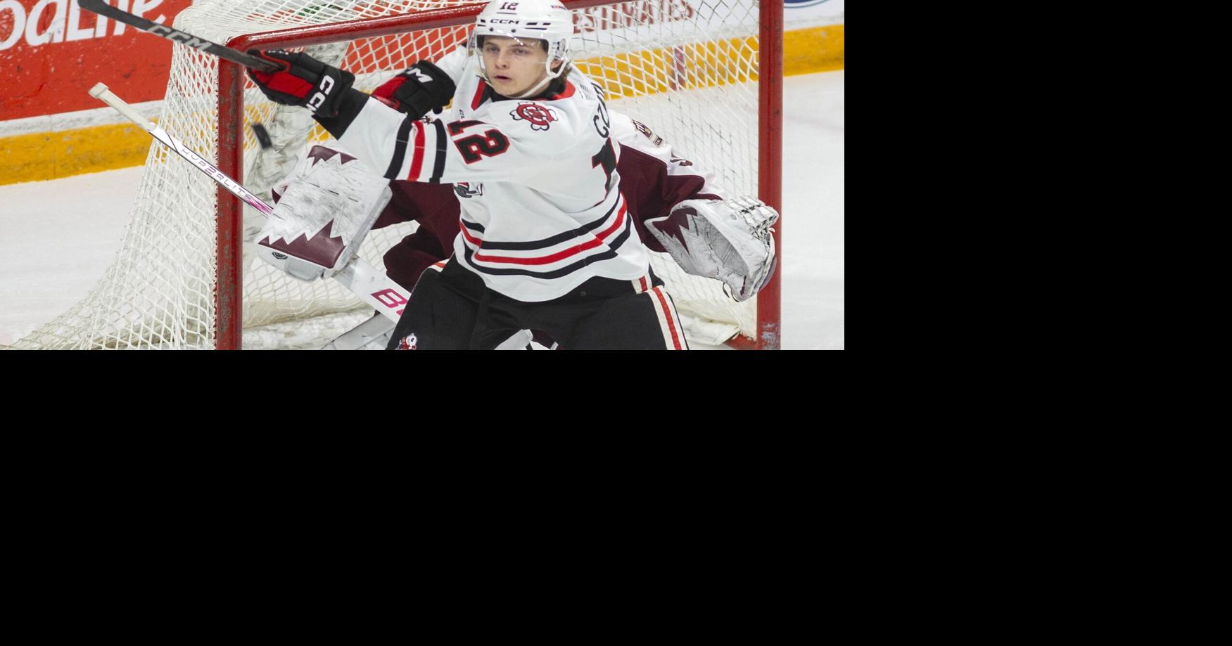 Niagara IceDogs-Peterborough Petes OHL game recap