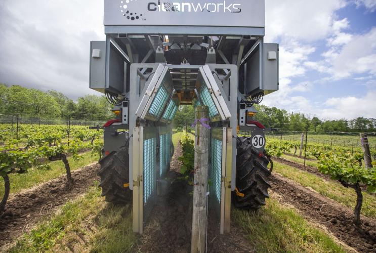 Company’s technology could protect grape vines worldwide