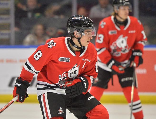Niagara IceDogs-Soo Greyhounds OHL game recap