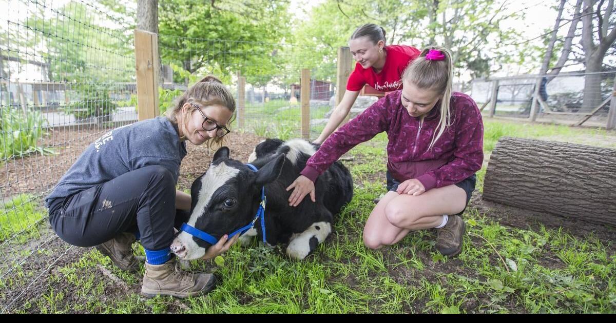 Happy Rolph’s now accepting donations for animal care