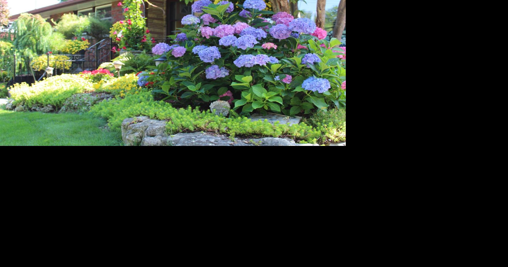 Nominations wanted for beautiful St. Catharines gardens