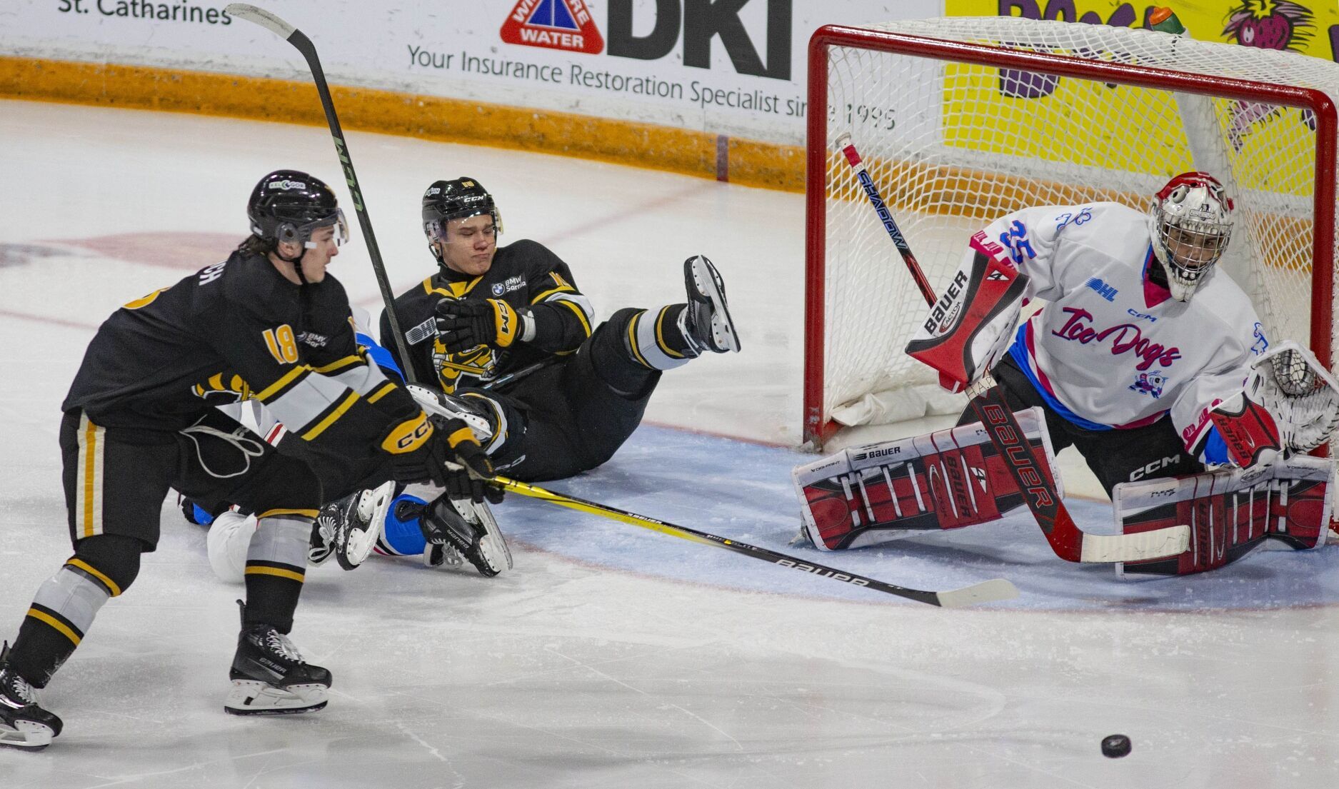 Niagara IceDogs open playoff against Barrie Colts
