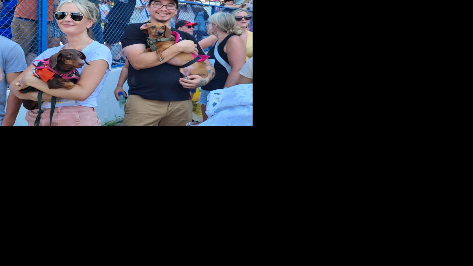 Best in Go: Wiener dog races at Fort Erie Race Track