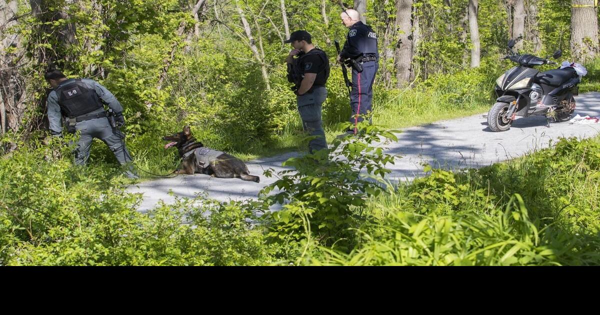 Man arrested in Merritt Trail stabbing in St. Catharines