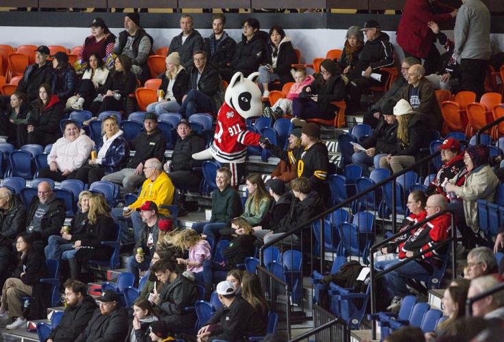 Canine Cup drought continues for IceDogs