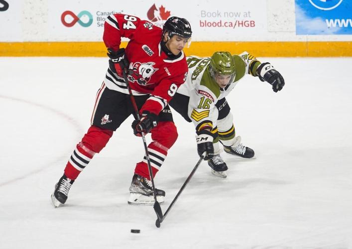 Niagara IceDogs players bench has been a revolving door as rebuild ...