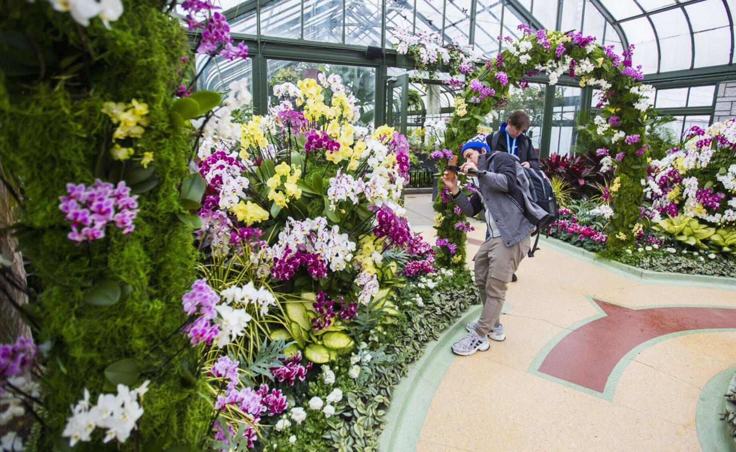 Orchid show blossoms at Niagara Parks Floral Showhouse
