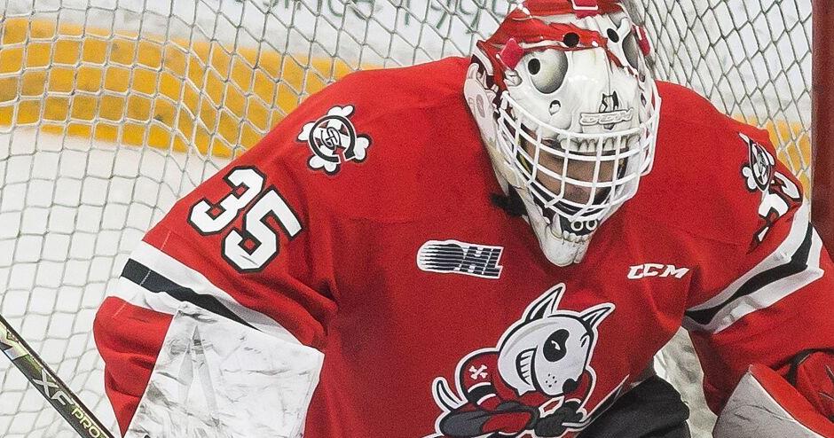 Niagara IceDogs-Erie Otters OHL game recap