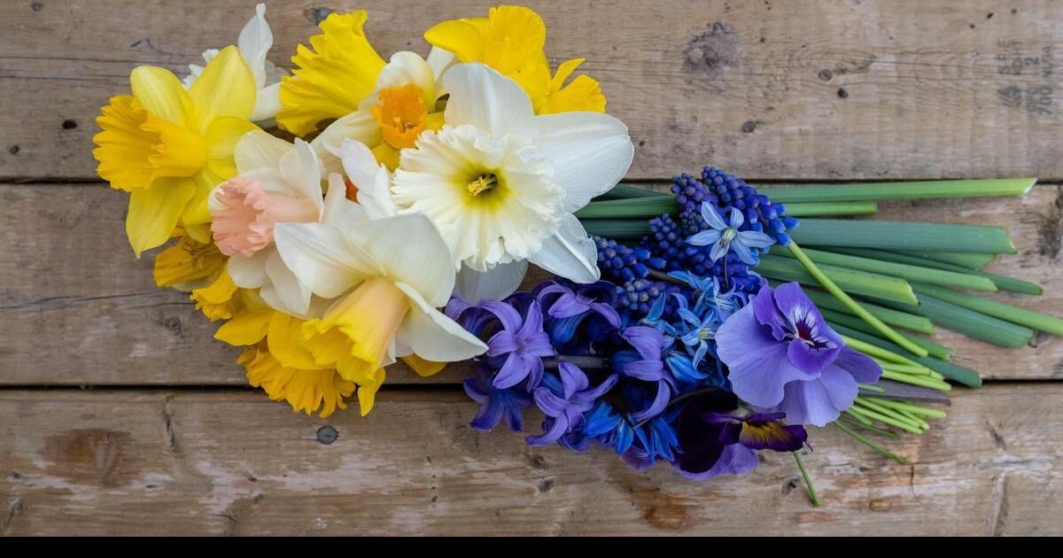 Growing Your Garden: Time to plant bulbs to enjoy show of springtime colour