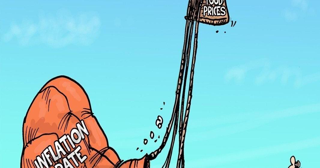 Decoding the food inflation maze