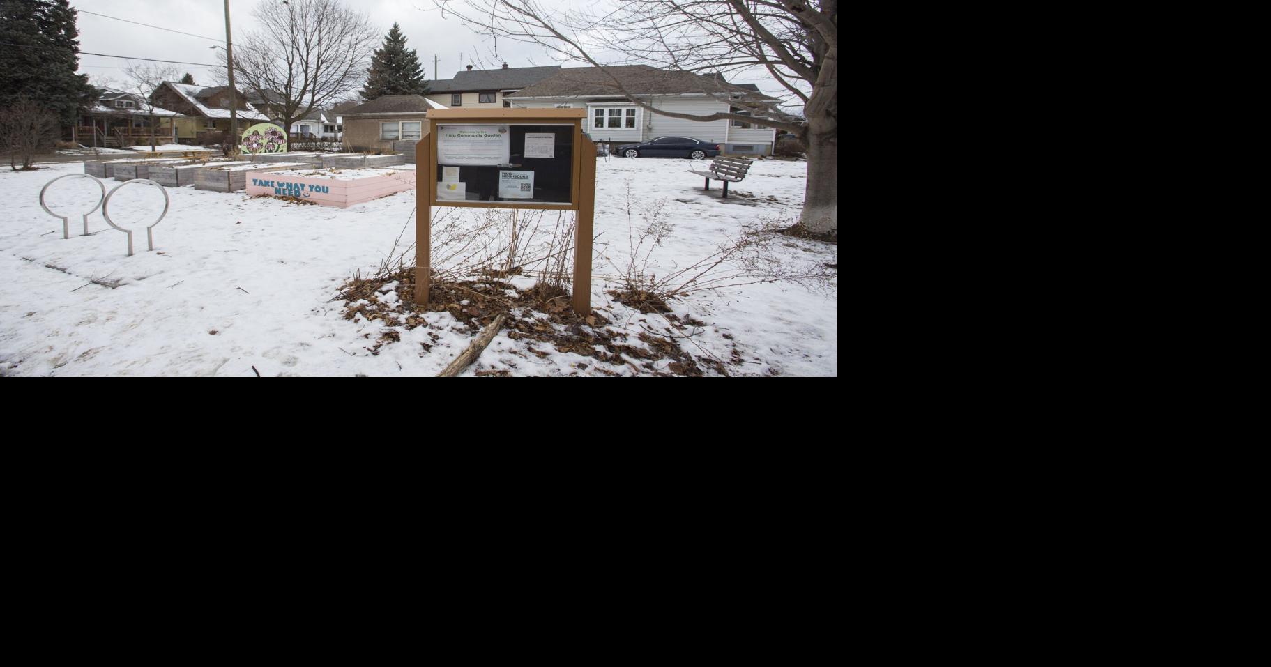 Five puppies found dead in St. Catharines park