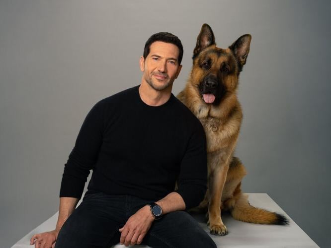 Real-life dog poisoning mystery roiling ‘Hudson & Rex’