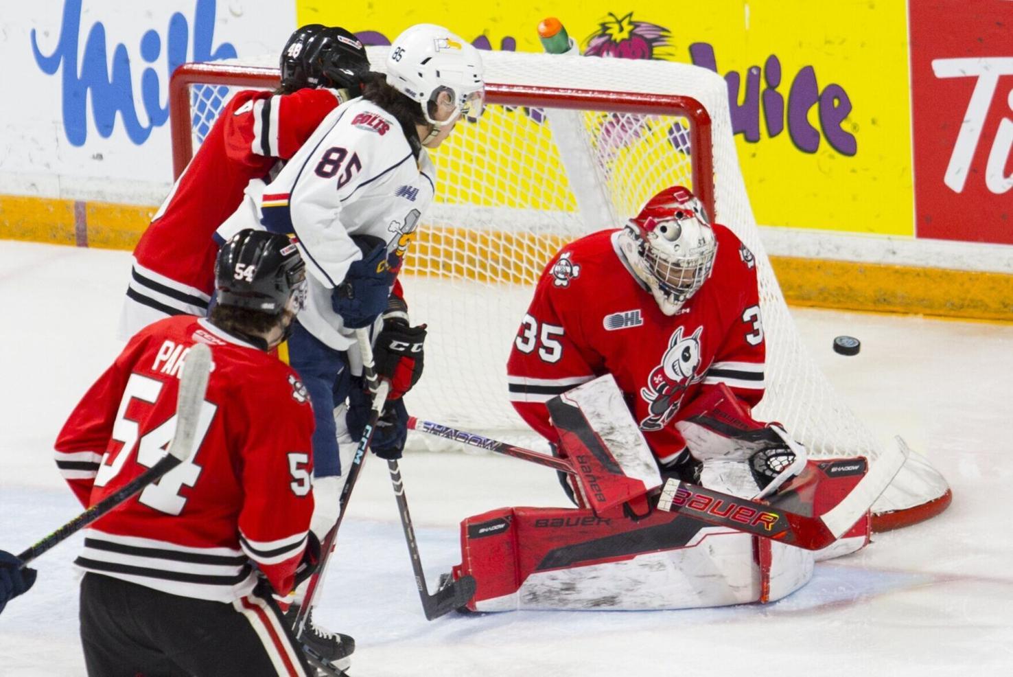 Niagara IceDogs-Barrie Colts Game 4 quarterfinal recap