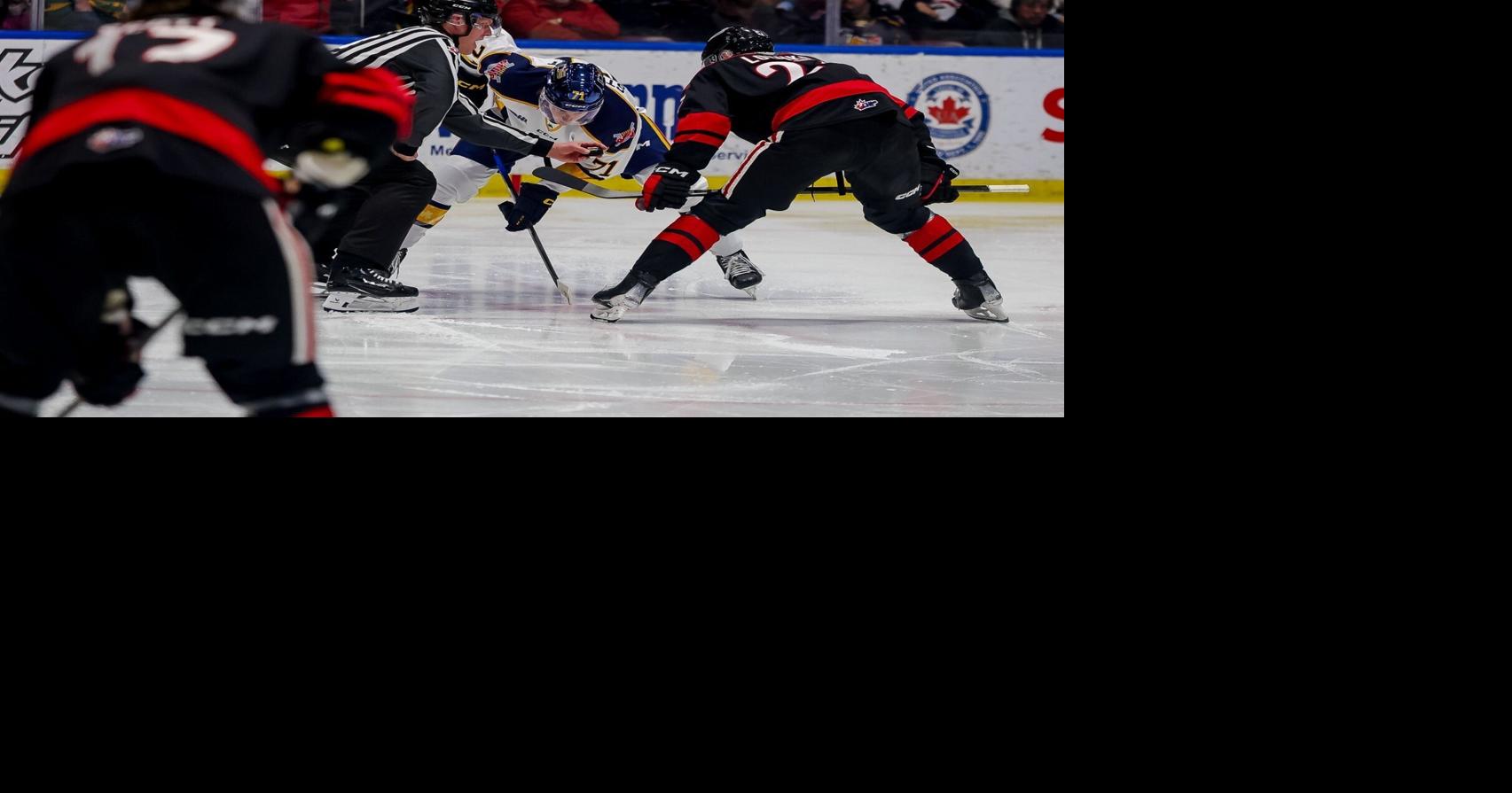 Niagara IceDogs-Barrie Colts OHL game