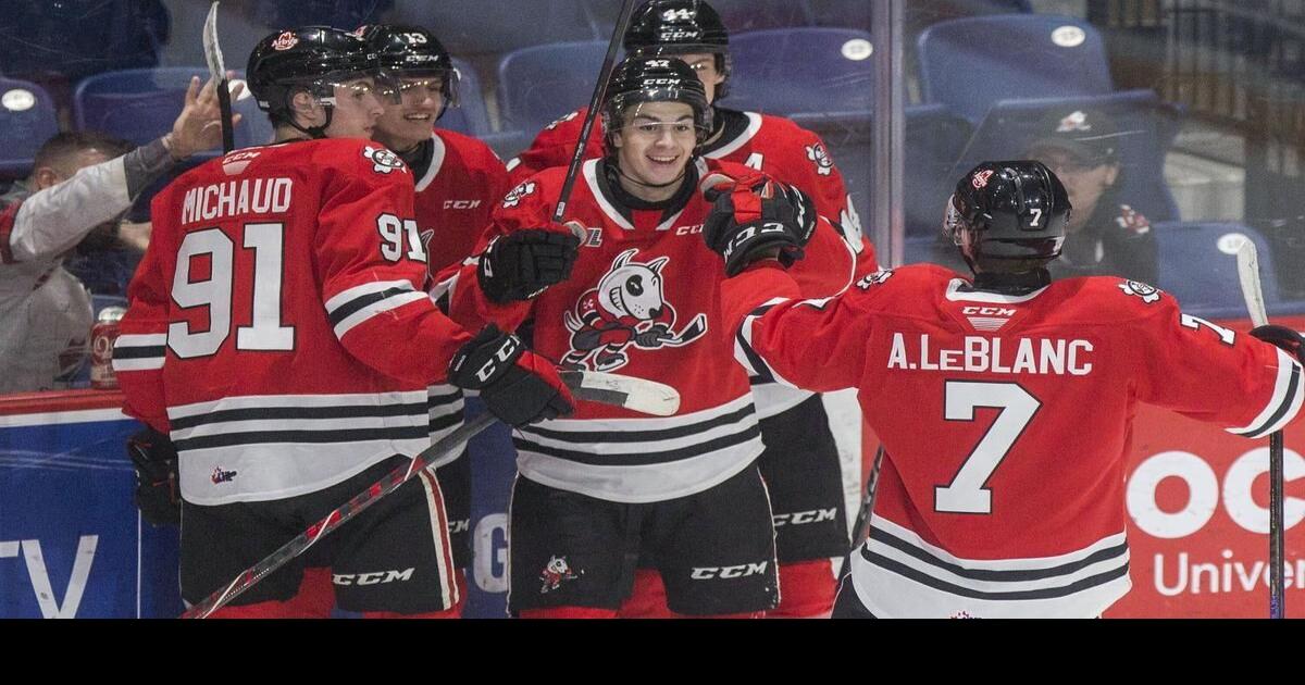 Meridian Centre suite offered to non-profits for Niagara IceDogs season