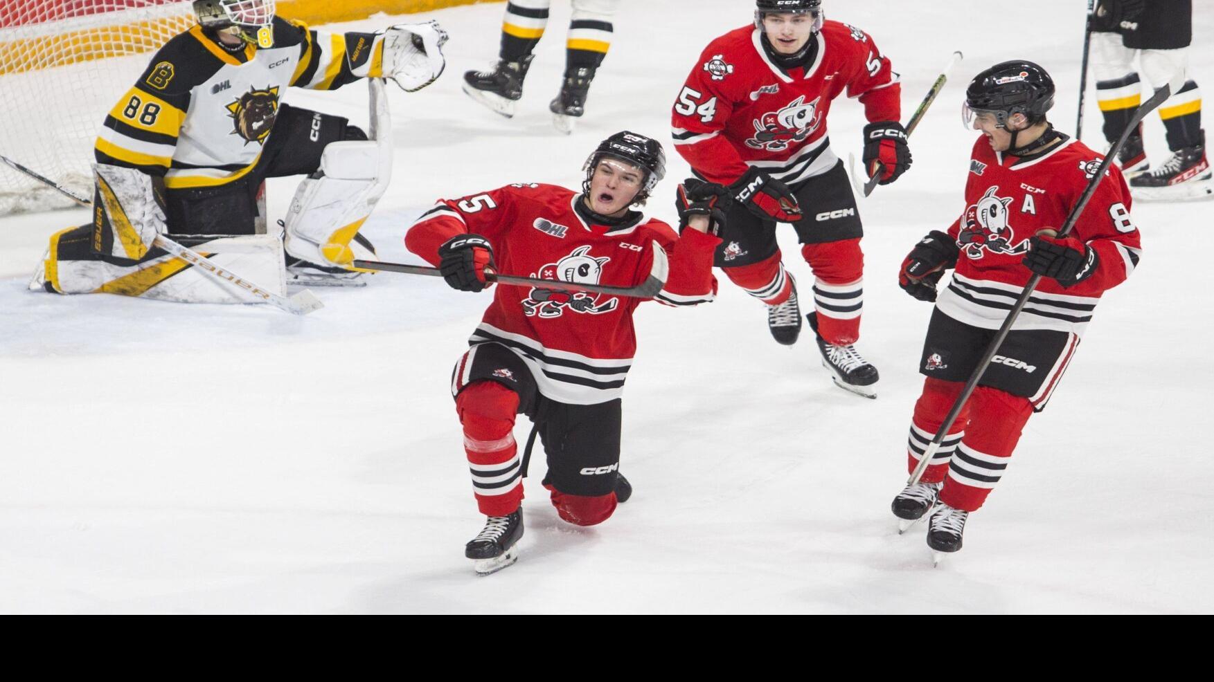 IceDogs enter April 12 draft with fourth pick