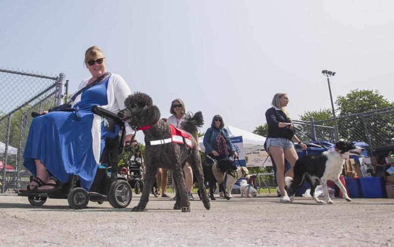 Photos: Walking for dog guides
