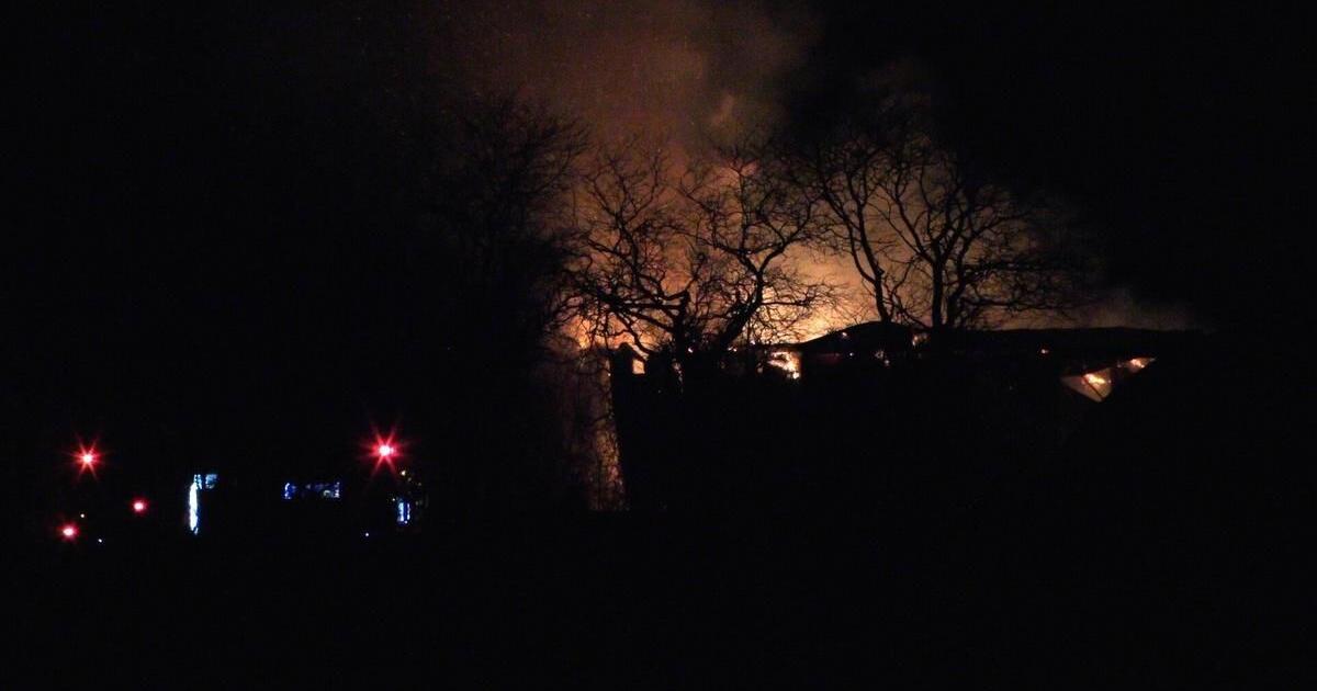 Thorold barn fire kills 30 dairy cows