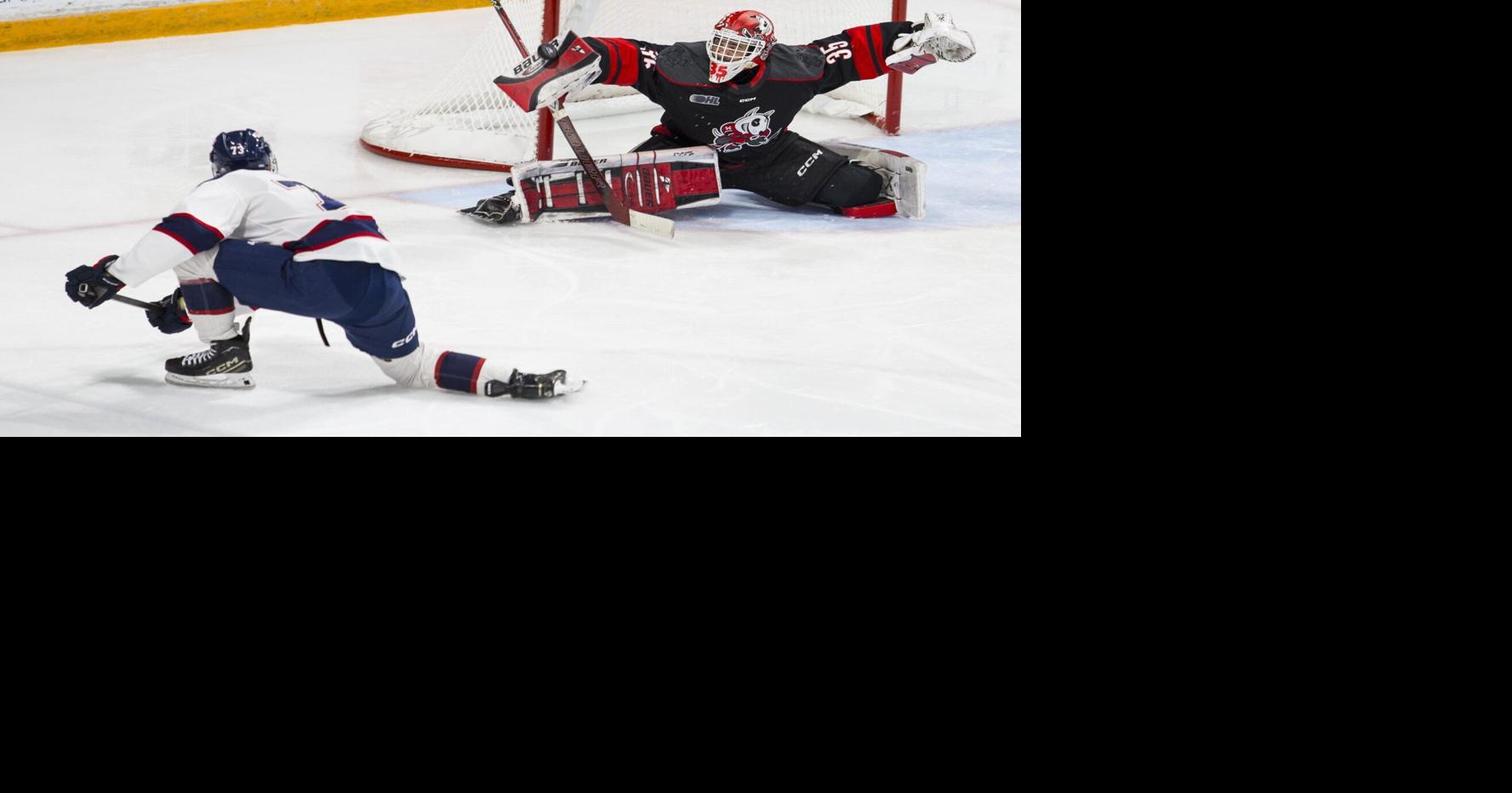 Niagara IceDogs-Sudbury Wolves OHL game recap