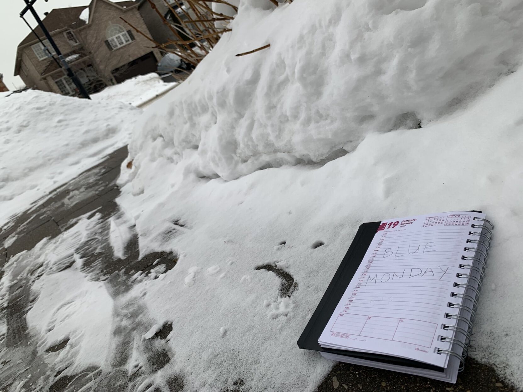 Blue Monday 2026: Expert Tips to Beat the January Blues