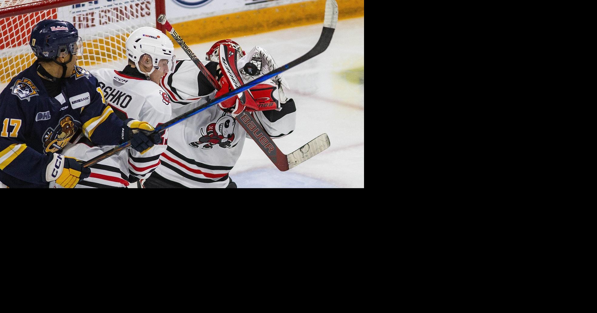 Goaltender can be assigned to ECHL under two-way contract