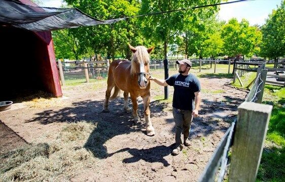 Rescue animals finding sanctuary at Happy Rolph's