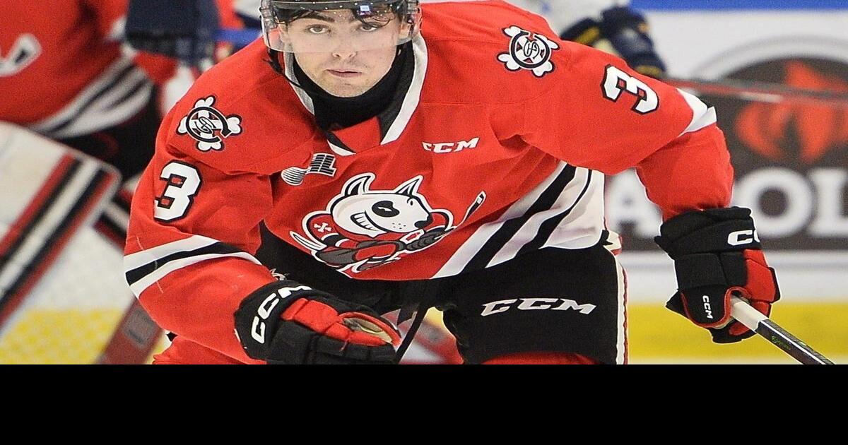 IceDogs end 2022 taking three of four points