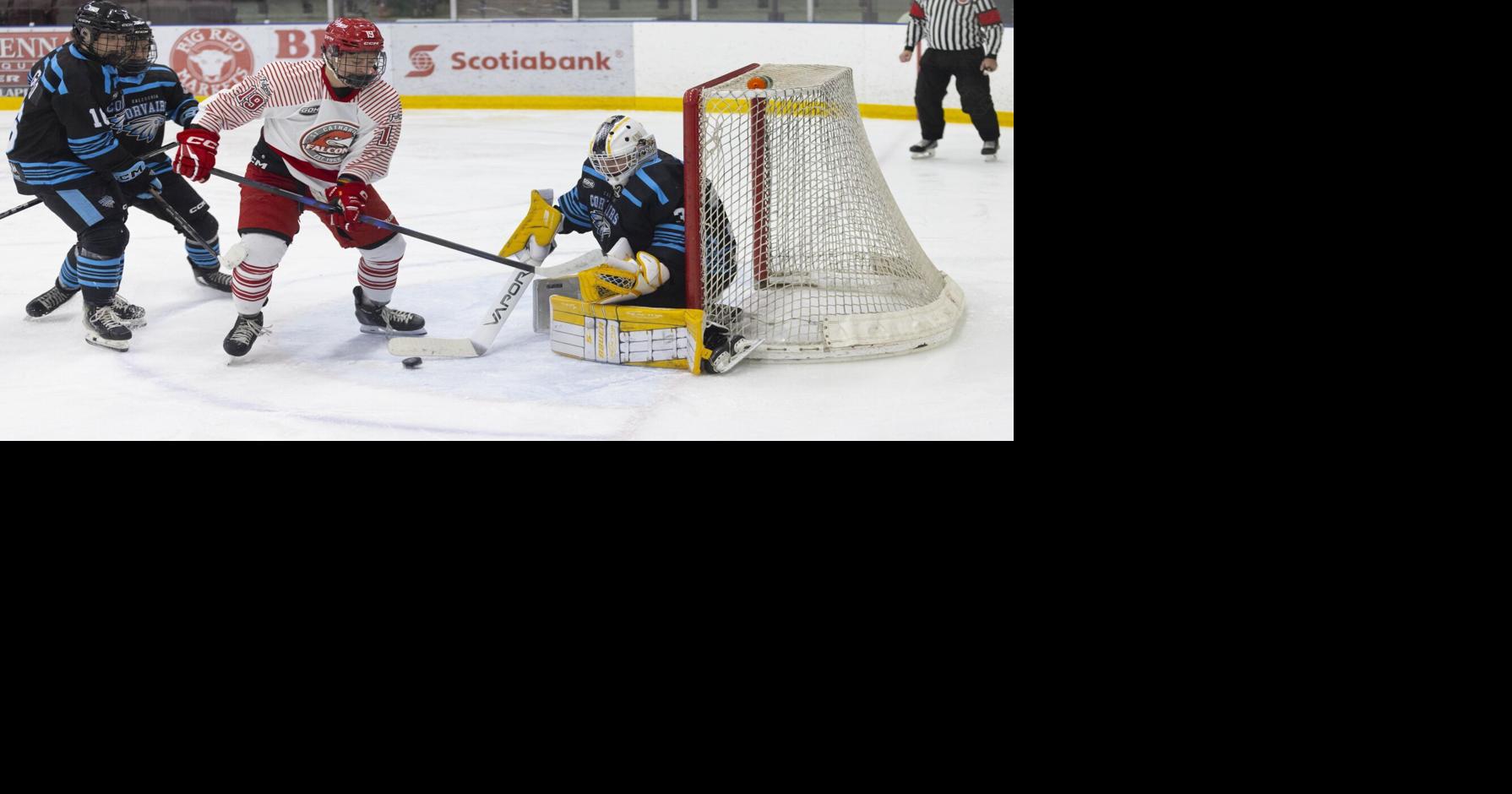 3 of Niagara’s 5 junior-B teams ranked in top 10