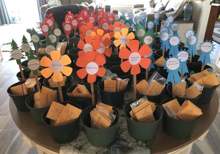 Growing Your Garden: Thoughts of an early spring at Seedy Sunday