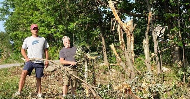 Residents demand answers after trees mangled