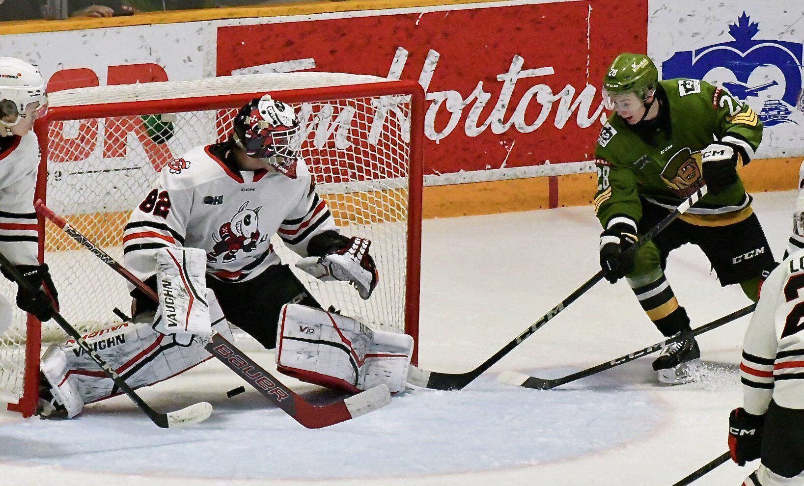 Niagara IceDogs-North Bay Battalion OHL game recap
