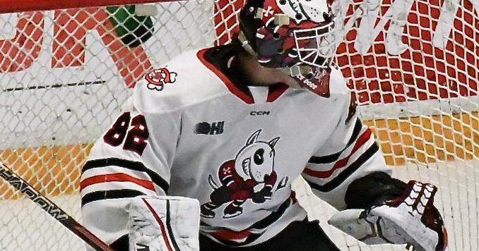 Niagara IceDogs-North Bay Battalion OHL game recap