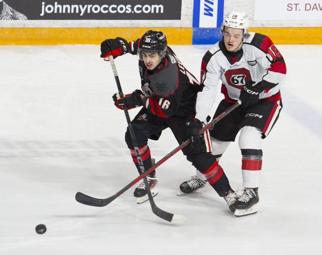 Niagara IceDogs-Ottawa 67’s OHL game recap