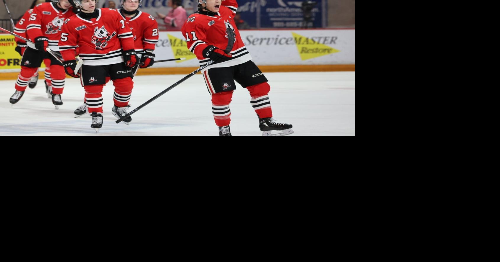 Niagara IceDogs-London Knights OHL game recap