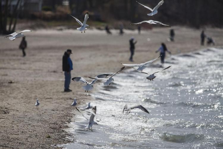 Photos: Nice weather for a day at the beach — in March