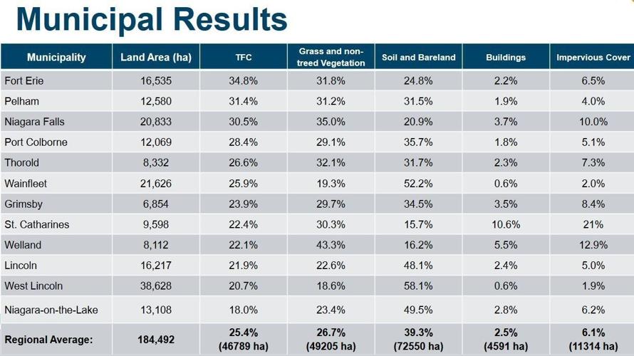 Ground-breaking NIagara project puts our forests on the map