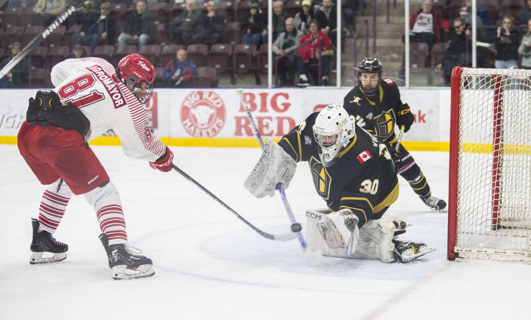 Eastern Conference junior-B hockey playoffs