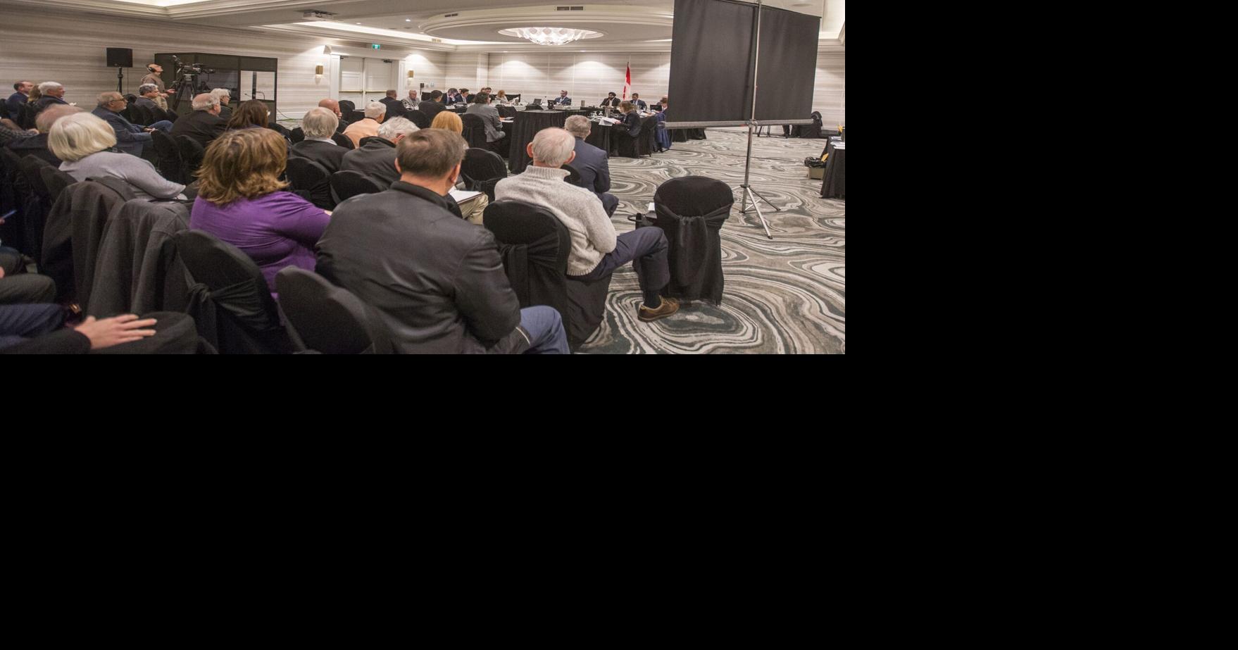 Megacity, four-city model supported at hearing