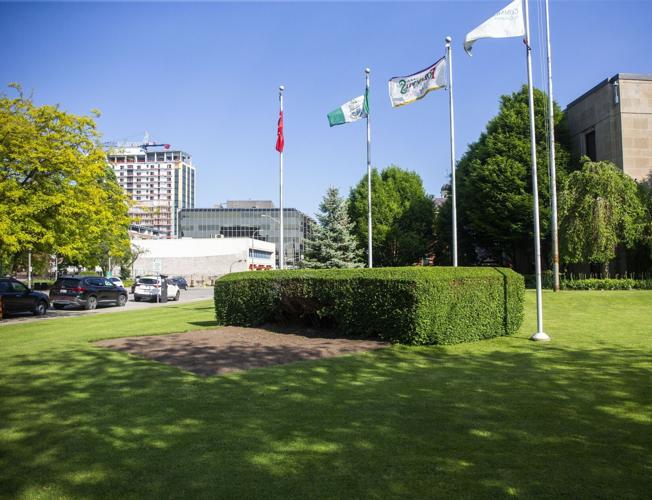 From Hero to Exile: the Tale of Alexander Watson’s statue