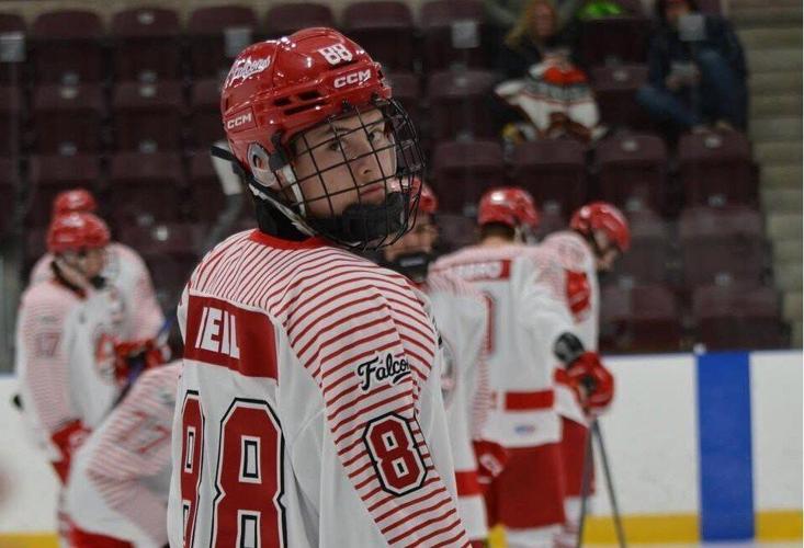 Niagara region well-represented at junior-B hockey showcase