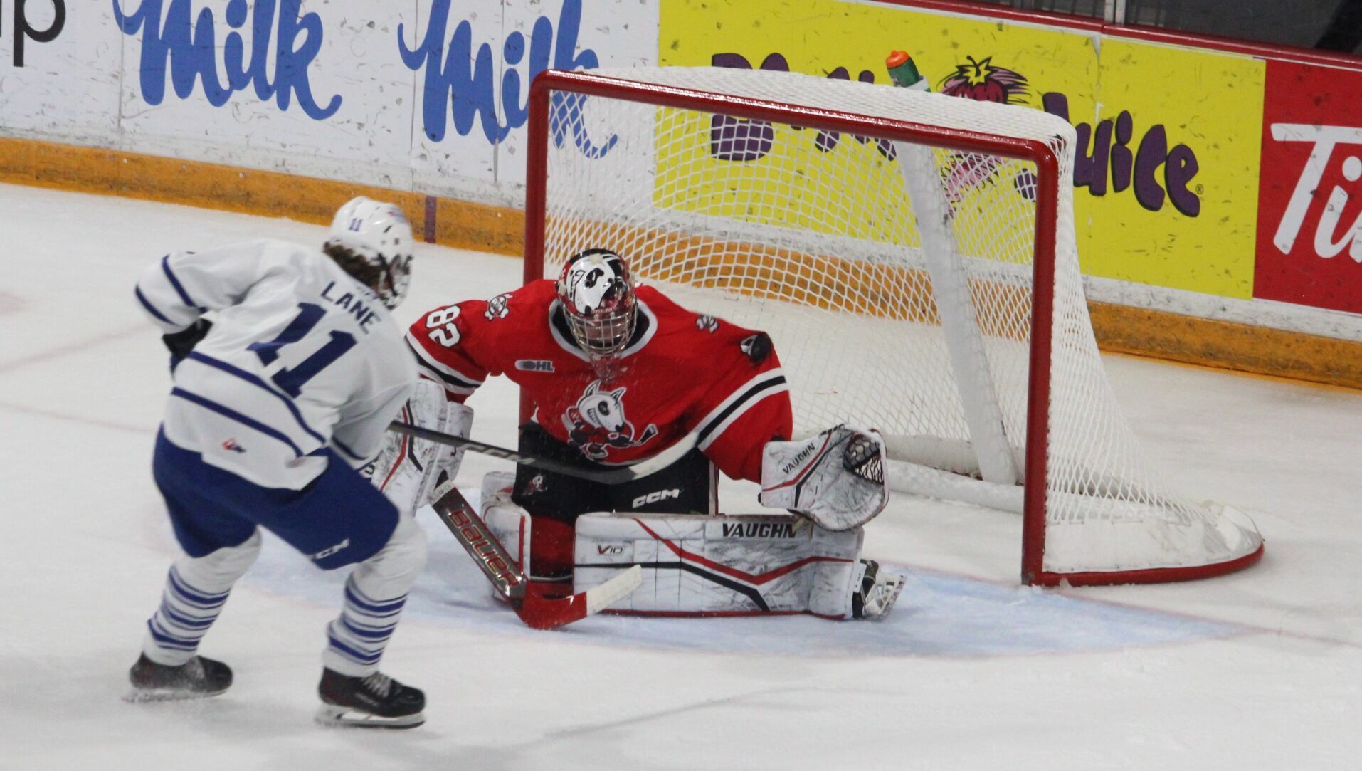 Niagara IceDogs-Brampton Steelheads OHL game recap