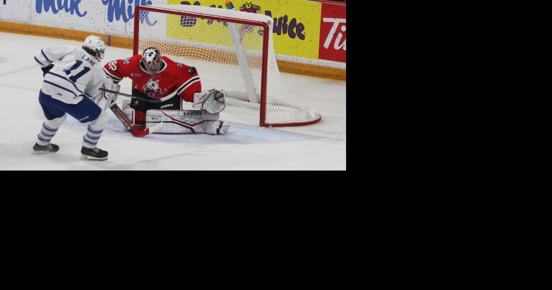 Niagara IceDogs-Brampton Steelheads OHL game recap