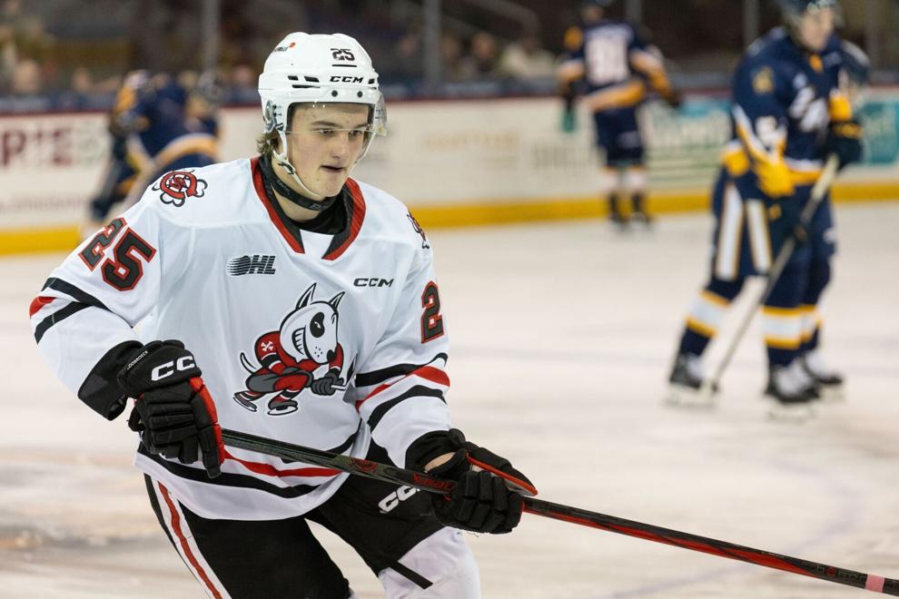 Niagara IceDogs-Erie Otters OHL game recap