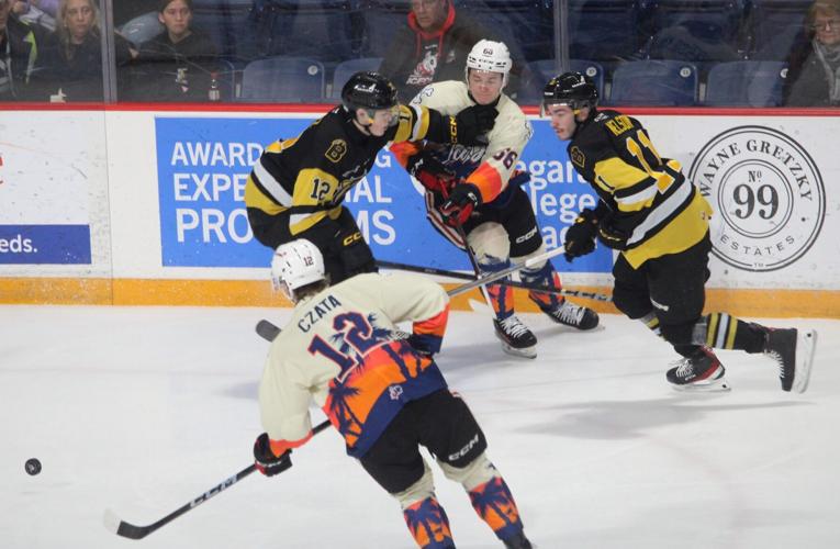 Niagara IceDogs-Brantford Bulldogs OHL game recap