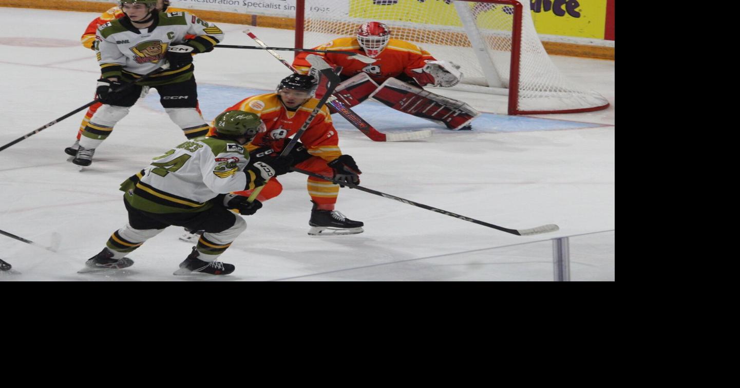 Niagara IceDogs-North Bay Battalion OHL game recap