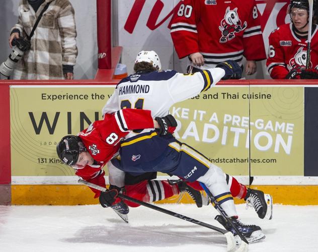 Niagara IceDogs-Erie Otters OHL game recap