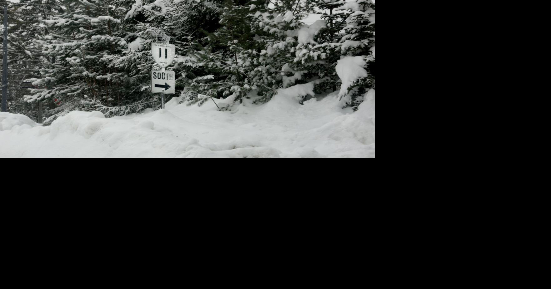 Snow squall warnings in effect for parts of Southern Ontario