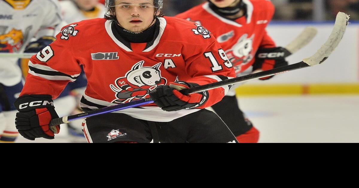 IceDogs name Gavin Bryant team captain