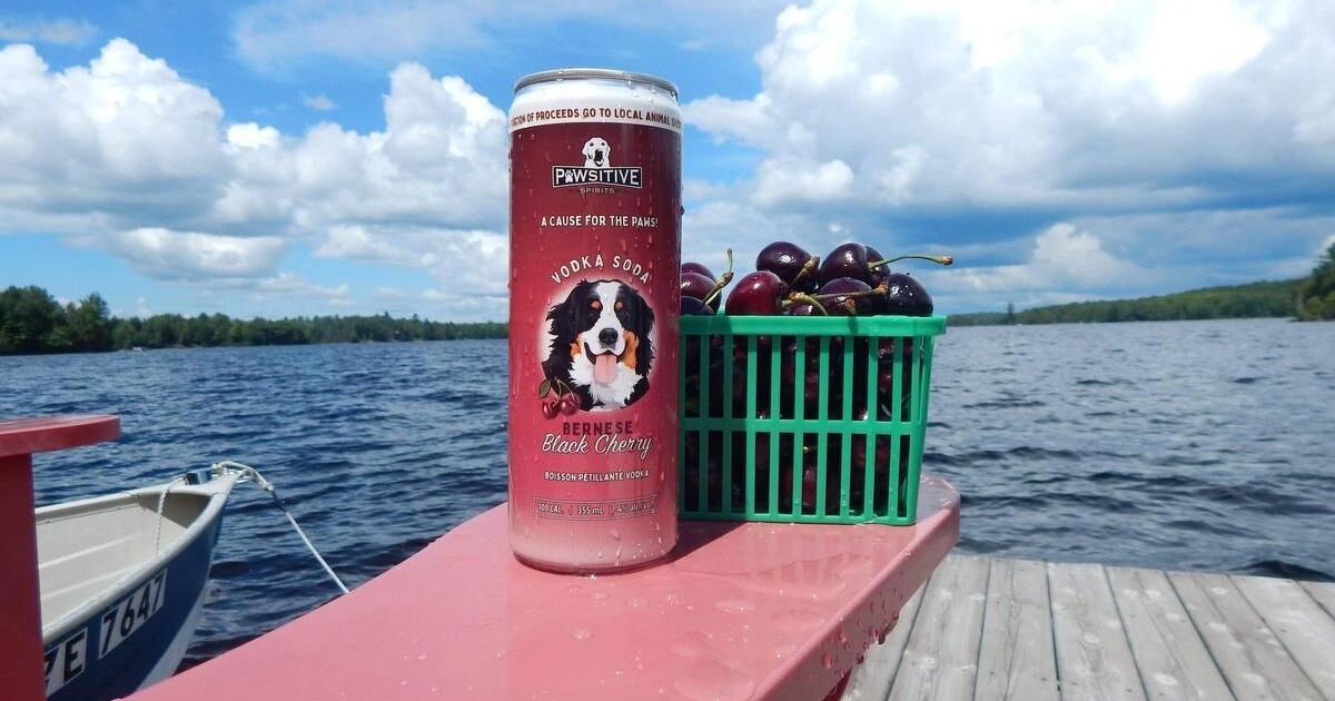 Eating Niagara: Niagara-made vodka soda paws its way onto market